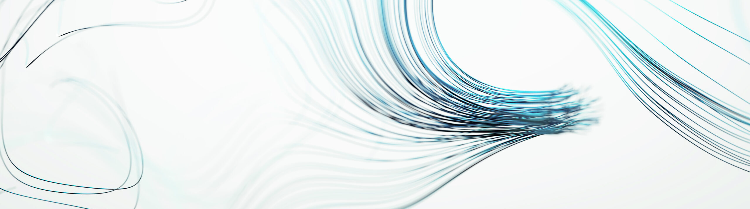 Products and Services - Patrick J. McGovern Foundation